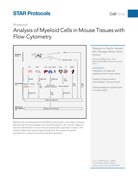 Analysis Of Myeloid Cells In Mouse Tissues With Flow Cytometry At Jesse Mcsharry Blog