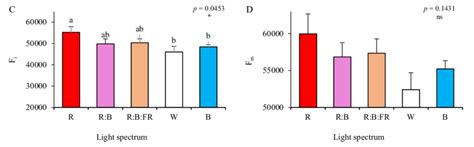 Minimum Fluorescence F0 A Fluorescence Intensity After 2 Ms Fj