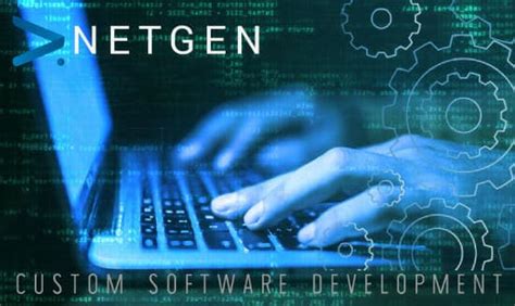 Streamline Your Business With Custom Software Netgen Blog