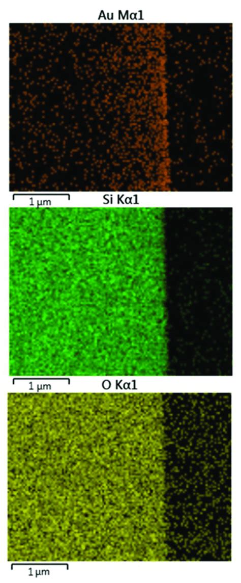 Elemental Mapping Images From The Cross Sectioned Gold Coated Substrate