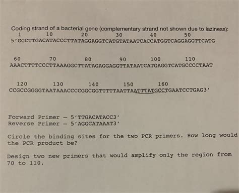 solved coding strand of a bacterial gene complementary