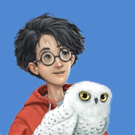 Хари Потър КУИДИЧЪТ ПРЕЗ ВЕКОВЕТЕ на АЛЕЯ НА КНИГАТА Facebook