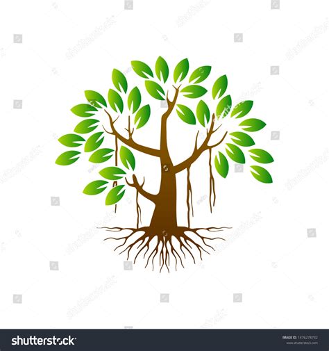 Mangrove Tree Roots Logo Design Vector Stock Vector Royalty Free Shutterstock