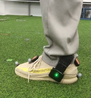 Raw IMU And Optical Gait Data Of Healthy Participants IEEE DataPort