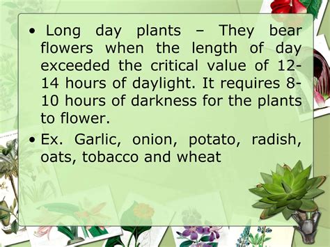 Factors Affecting Crop Production Ppt Slideshare Pptx Agriculture
