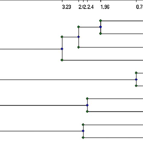 hierarchical cluster analysis dendrogram showing three clusters of site