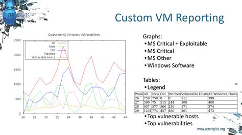 Custom Vulnerability Management Reports Alexander V Leonov