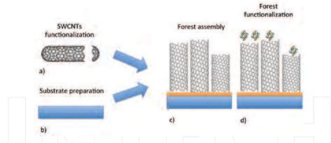 Figure 2 From Electrochemical Biosensing With Carbon Nanotubes Semantic Scholar