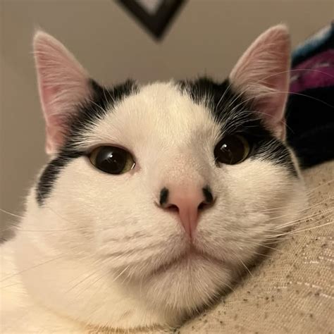 Bungus Bungus426 • Threads Say More