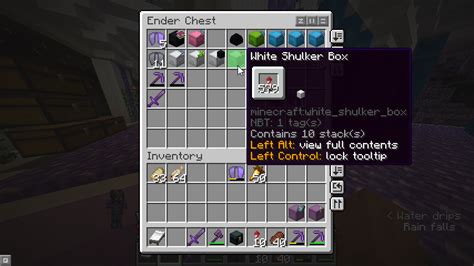 Bug Two Small Bugs On 1201 · Issue 19 · Bvengosimple Shulker Preview · Github