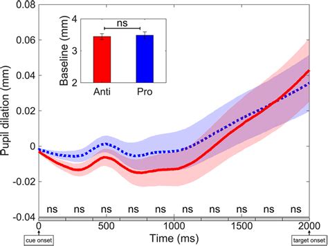 Top Left Inset Illustrates Mean Values Of Pupil Size At Baseline