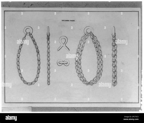 Trunnion In French At Maryjane Hartley Blog