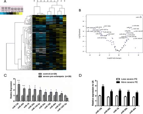 rna expression profiles and validation of microarray data by qrt pcr
