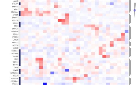 Clustergrammer Gl Nicolas Fernandez Observable