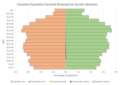 Gender Sex And Population Pyramids Population Education