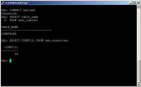 Pldwh Pentaho Data Integration How To Use A Transformation 002