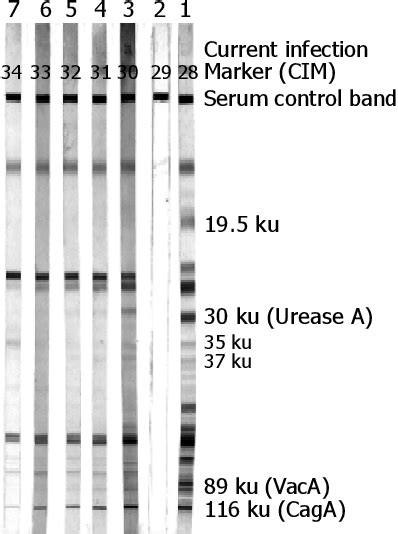 Figure 1 From The Best Method Of Detecting Prior Helicobacter Pylori Infection Semantic Scholar