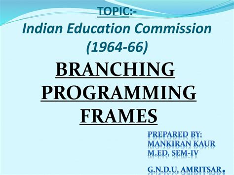 Branching Programming Frames PPT