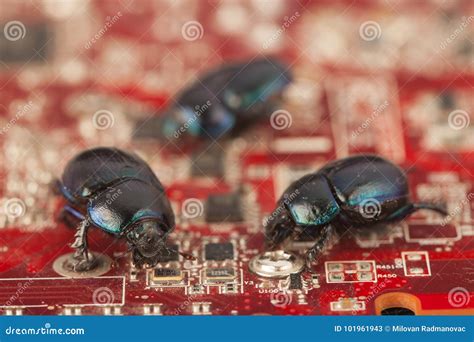 Computer Chip Bug