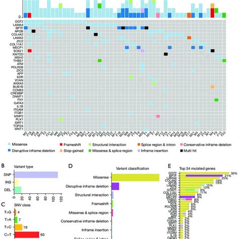 The General Mutational Landscape Of 30 Couples With Unexplained Download Scientific Diagram