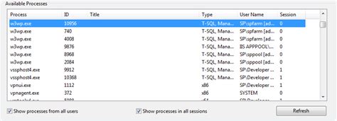Attaching The Visual Studio Debugger To The Right IIS Worker Process
