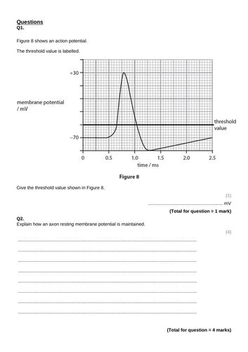 Conduction Of Nerve Impulses Action Potentials Aaq Applied Science