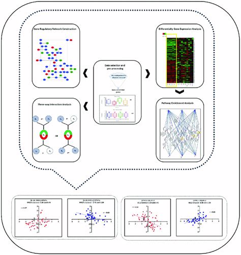Schematic Representation Of The Gene Expression Data Analysis Pipeline