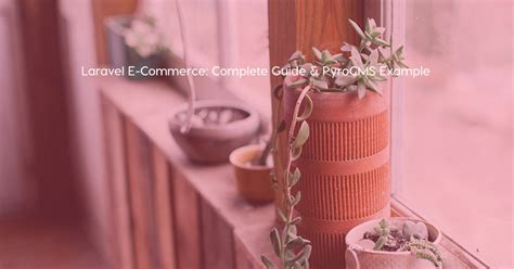laravel e commerce complete guide and pyrocms example
