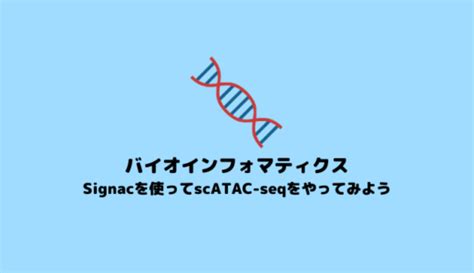 シングルセル空間トランスクリプトーム解析の始め方Scanpy LabCode