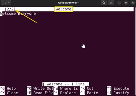 The Nano Command In Linux Practical Examples