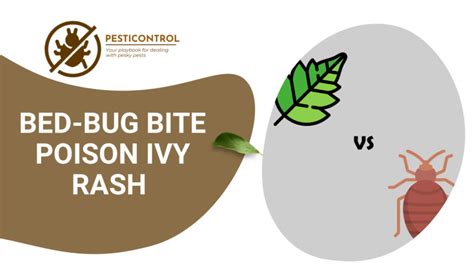 Biting And Stinging Pests Pesticontrol