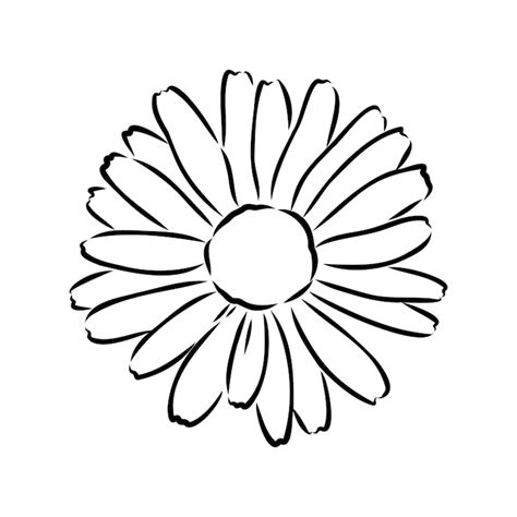 데이지 꽃 도장 이미지 Freepik에서 무료 다운로드