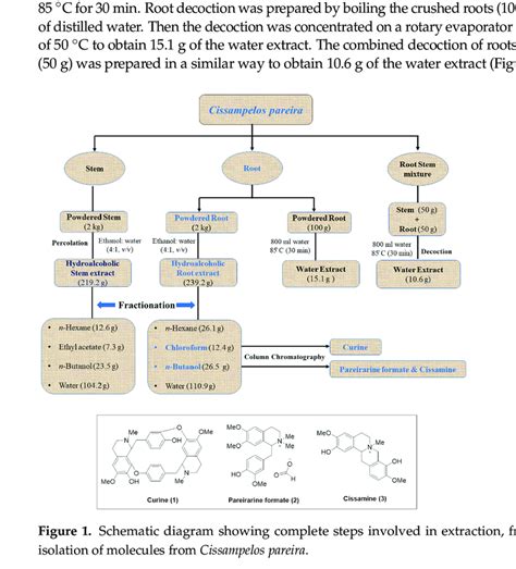 Schematic Diagram Showing Complete Steps Involved In Extraction