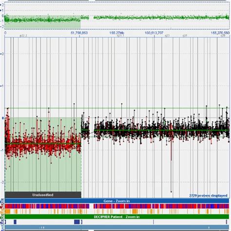 Chromosome Microarray Analysis On Amniotic Cells The Results