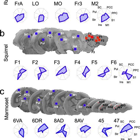 region of interest roi locations and fingerprint plots a roi