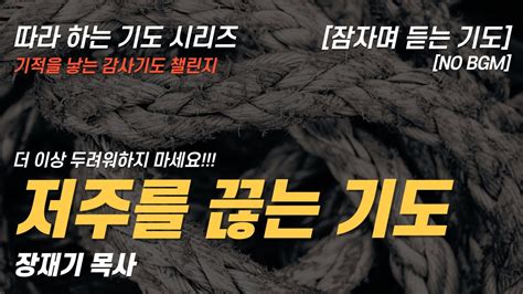 따라하는 기도시리즈 감사21 저주를 끊는 기도 승리를 주셔서 감사합니다 잠자며 듣는 기도 No Bgm 장재기 목사