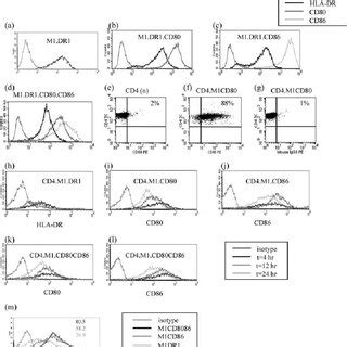Transfectants And Acquisition The M Cell Lines Were Labeled With Download Scientific Diagram