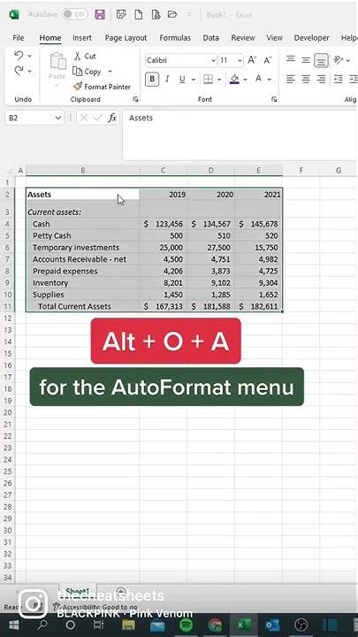 Autoformat In Excel Youtube