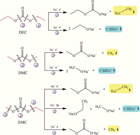 Schematic Diagram Of The Potential Reduction And Decomposition Pathways Download Scientific