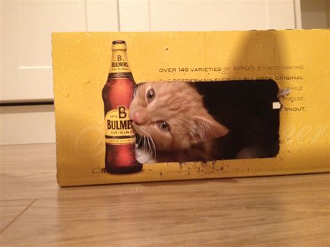 Raspberry Pi Multi Room Music Player 4 Steps Instructables