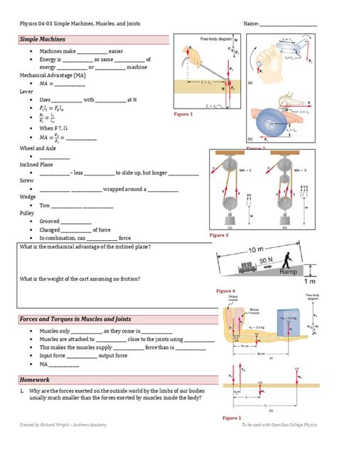 Physics 04 03 Simple Machines Muscles And Joints Pdf Machines Lever