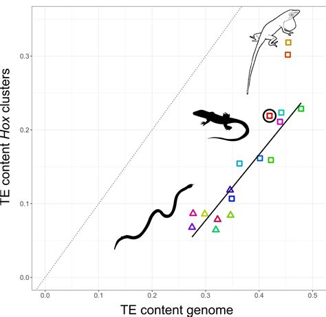 The Role Of Mobile Genetic Elements In Evolution And Development Extended Evolutionary Synthesis