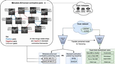 Figure From Metadata Enhanced Contrastive Learning From Retinal Optical Coherence Tomography