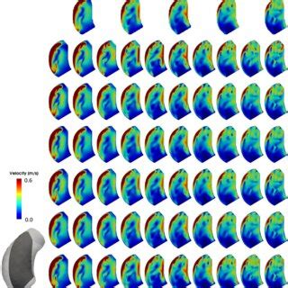 PDF Implicit Neural Representations For Unsupervised Super Resolution And Denoising Of D Flow MRI