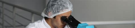 Breast Histopathology Images Kaggle