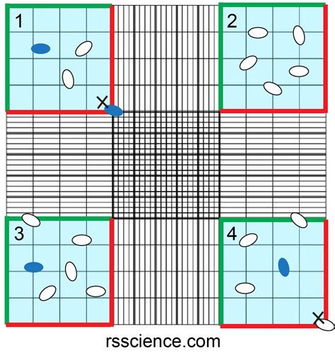 How To Use A Hemocytometer To Count Cells Rs Science