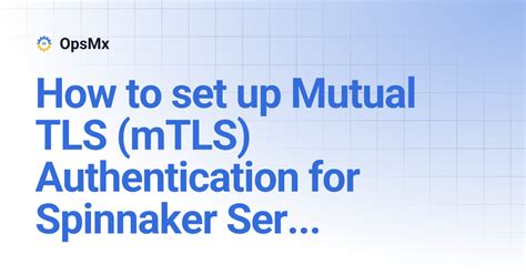 How To Set Up Mutual Tls Mtls Authentication For Spinnaker Services