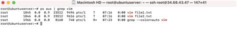 How To Show Running Processes With The Ps Command In Ubuntu Server 20