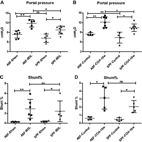 Pp And Psss Measurements In Bdl Or Ccl4 Treated Mice Pps Cm H 2 O Download Scientific