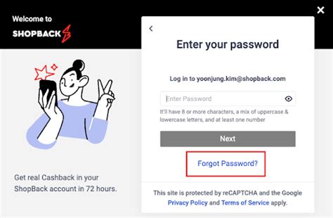 I Did Not Receive A Reset Password Email Shopback Care
